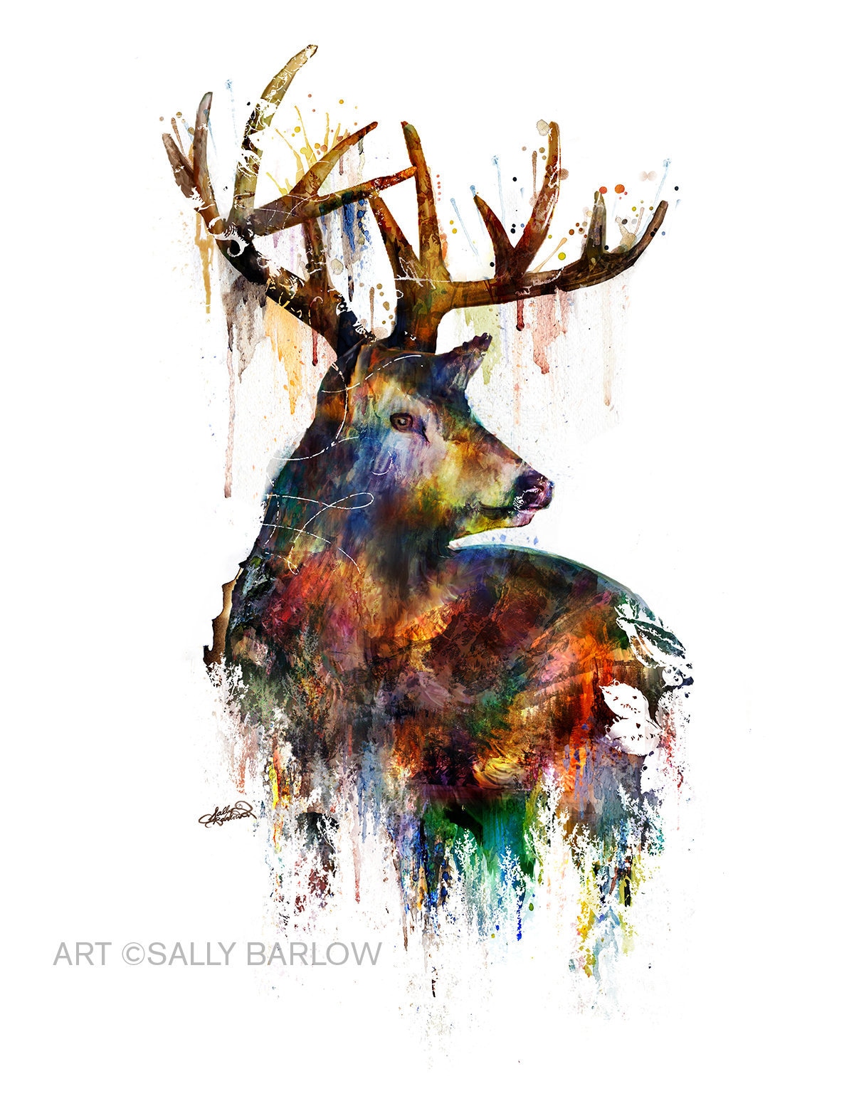 Stag Watercolor