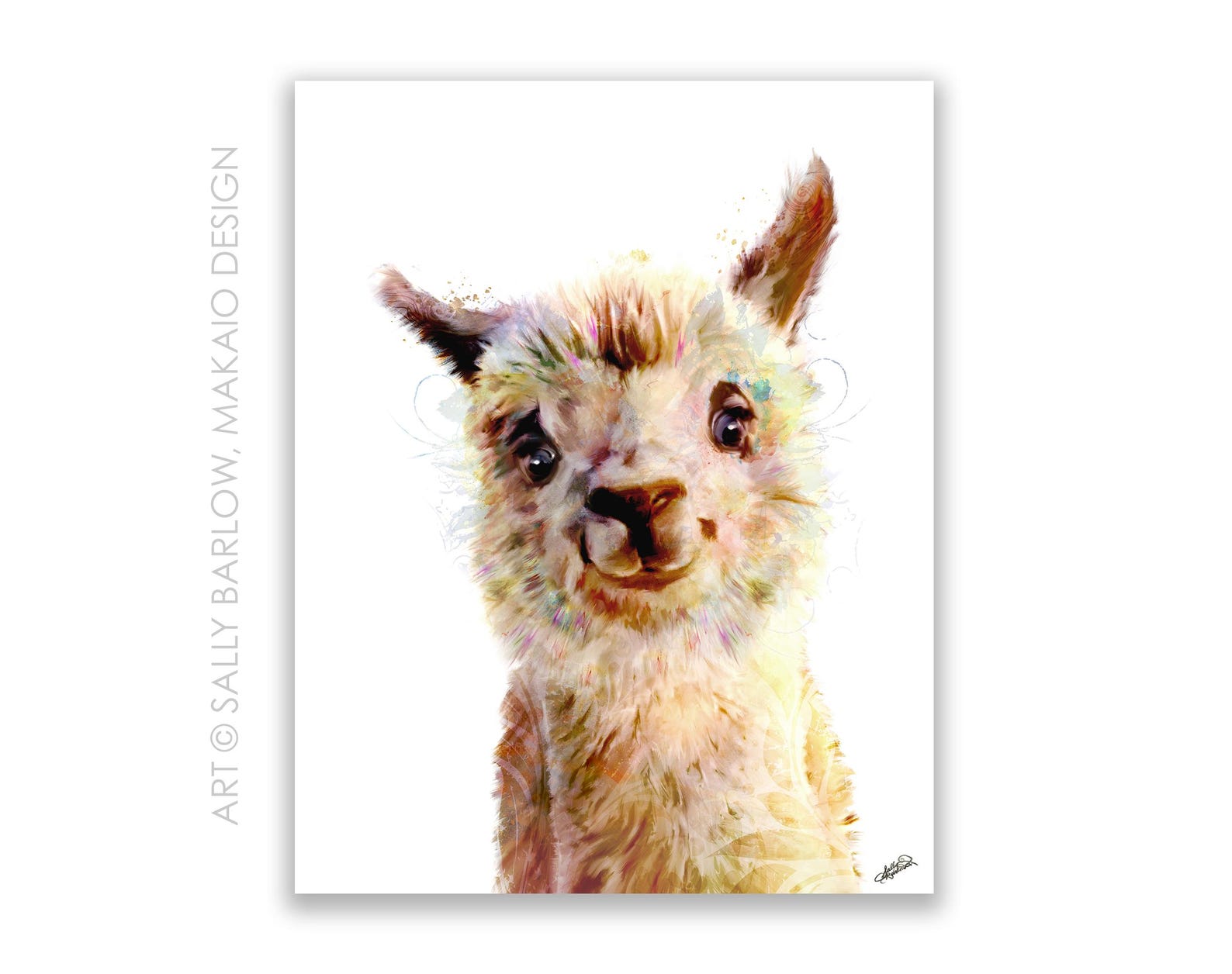 Art Print ~ Springles Baby Alpaca - Etsy