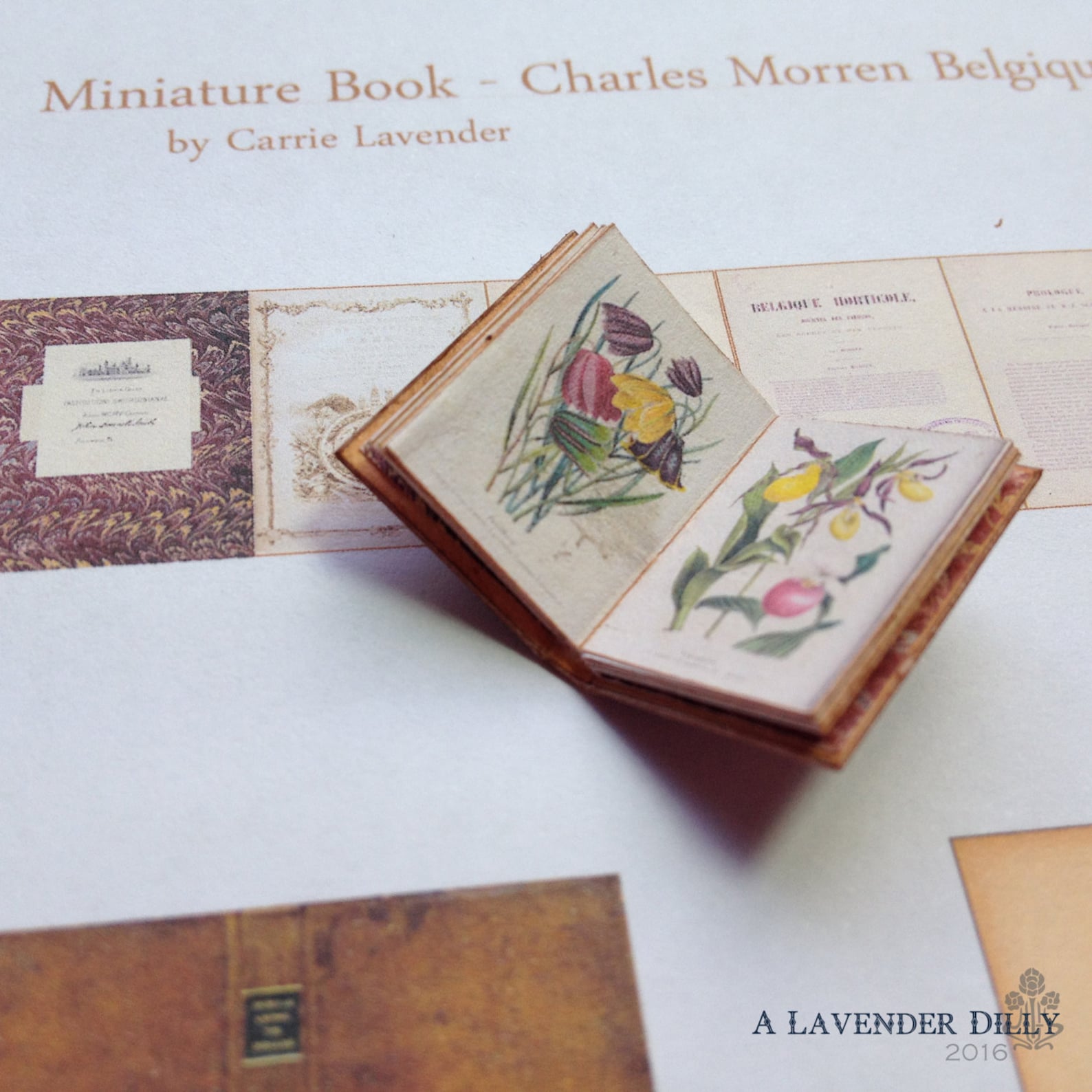PDF Vintage Charles Morren Botany Book for Dollhouse Miniature - Etsy