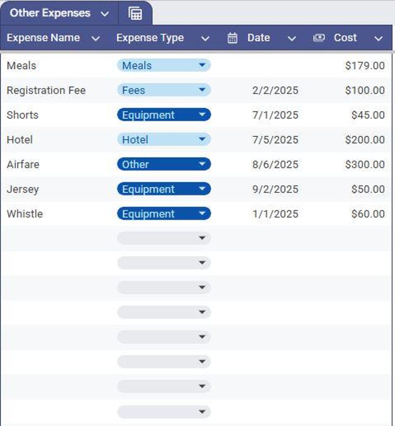 Referee Income and Game Tracking Template - Etsy