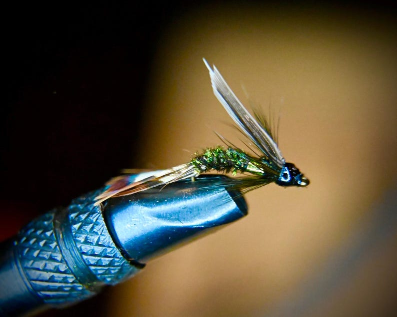 June Bug Short Striker Hybrid Fishing Lure - Etsy