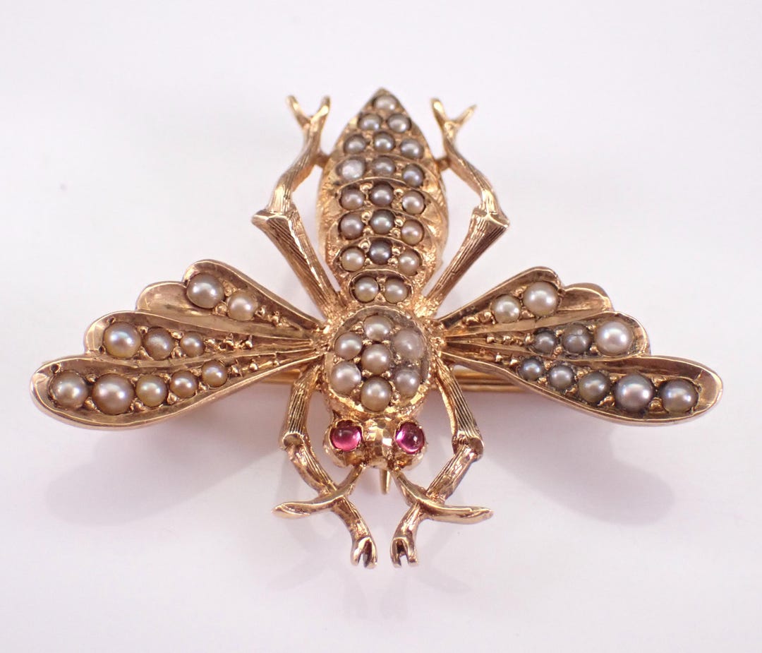 Antique 14K Yellow Gold Fly Brooch - Victorina Seed Pearl and Ruby Pin ...