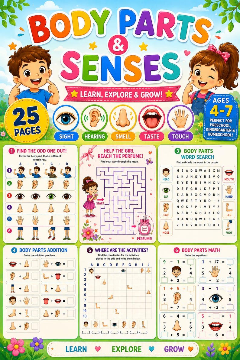 Human Body Parts Worksheets, Five Senses Activities, Preschool Science ...