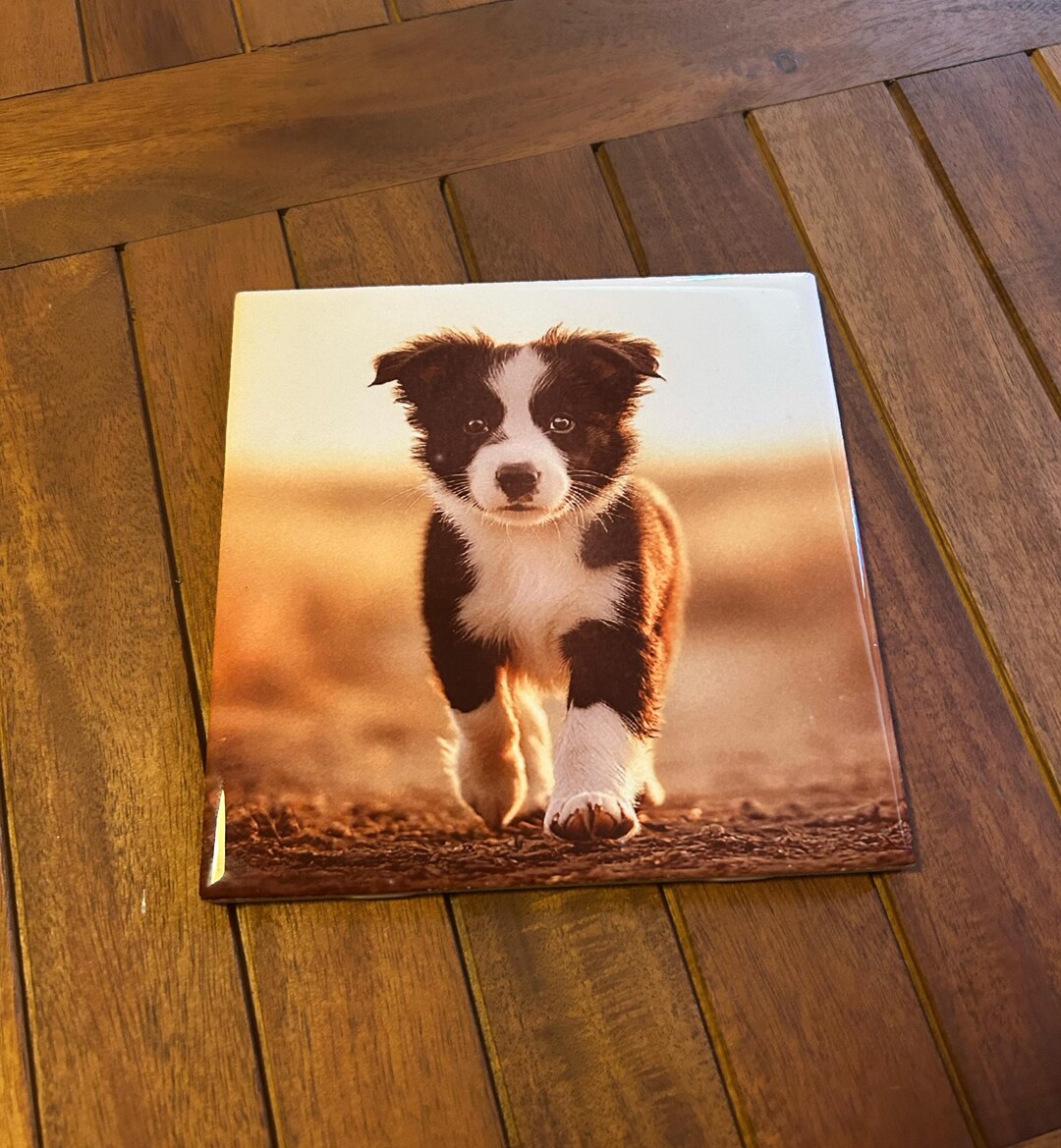 Custom Printed Tile Art. the Tile is 6x6 Inches. - Etsy