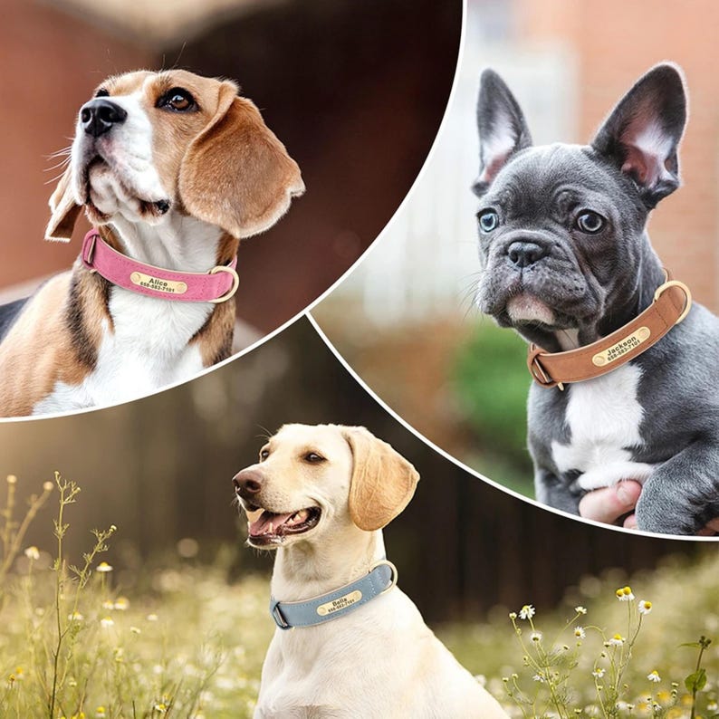 Custom Leather Dog Collar, Personalized Engraved Dog Collar With ...