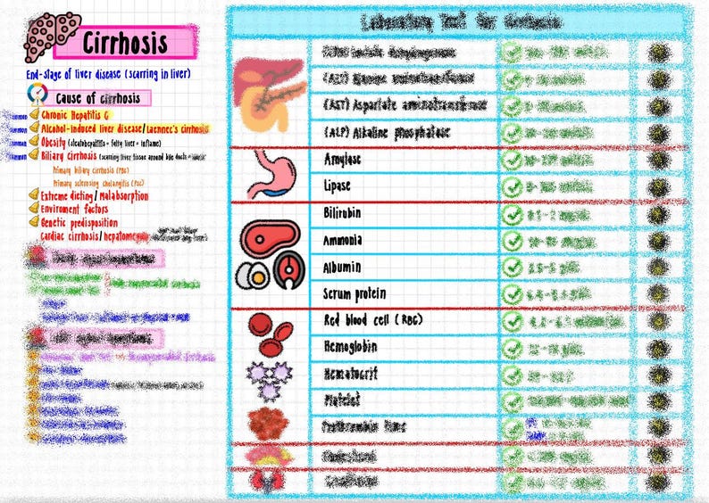 Cirrhosis (liver Disease) Study Notes Nursing Notes - Etsy