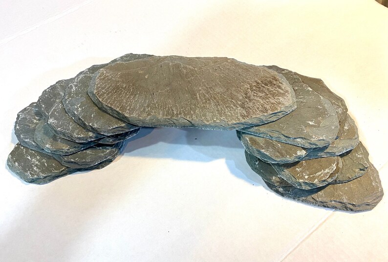 6ct SLATE Basking Warming Stone Hide Reptile Snake Rock - Etsy