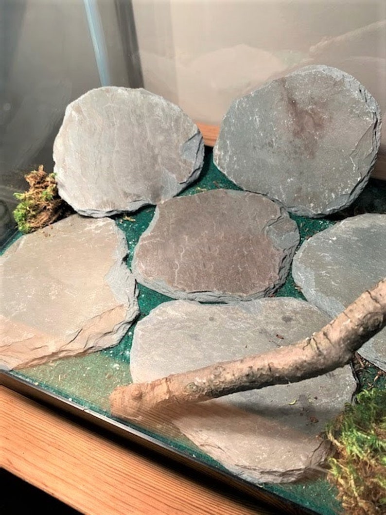 6ct SLATE Basking Warming Stone Hide Reptile Snake Rock - Etsy