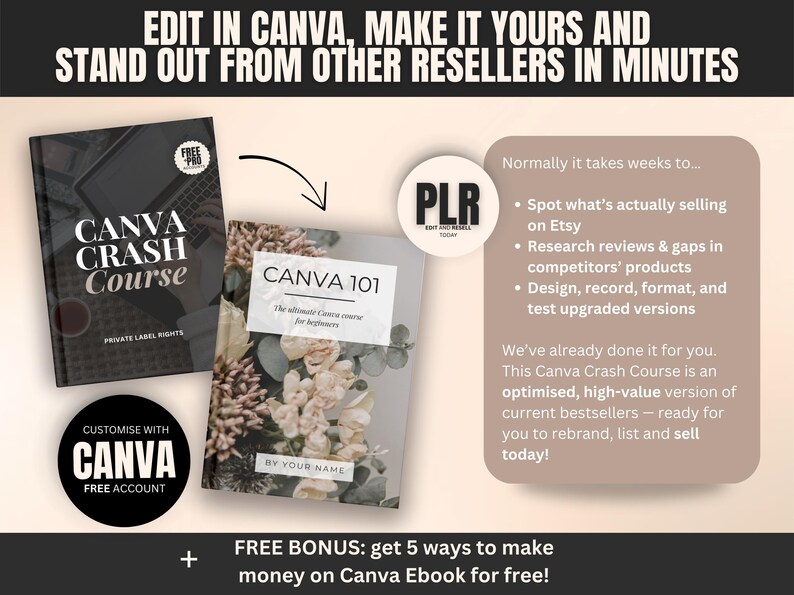 Canva Crash Course With PLR User Rights Editable Template | How to Use ...