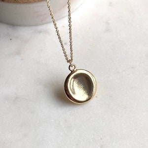 Red Blood Cell Necklace / Science Jewelry / Anatomical / Blood Jewelry ...