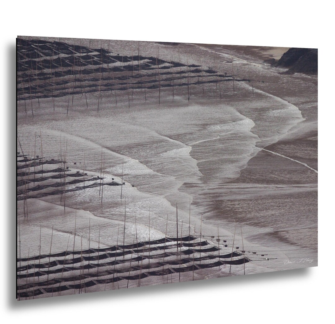 Seaweed Drying Racks Coastal China Landscape Photograph - Etsy