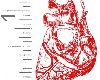 Anatomical Heart Rubber Stamp Human Heart Anatomy Stamp Gift - Etsy