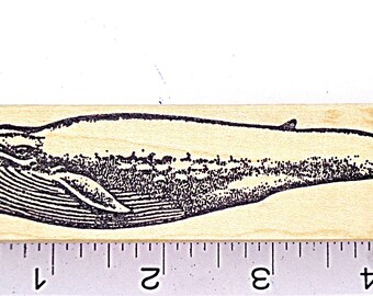 WHALE RUBBER STAMP moby Dick Tale Storysperm Whalelarge - Etsy