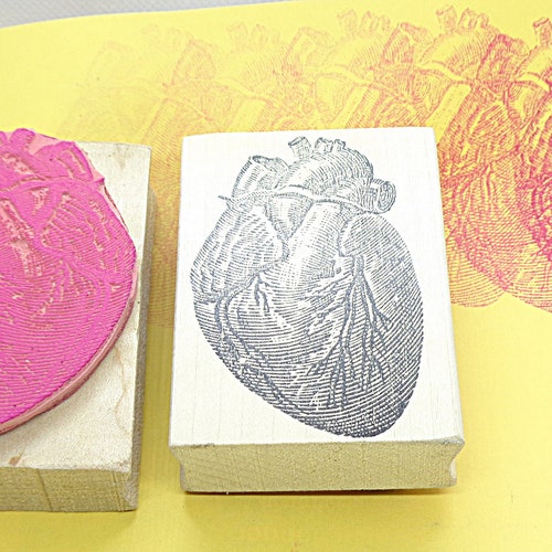 Anatomical Human Heart Rubber Stamp Handmade Rubber Stamp by - Etsy