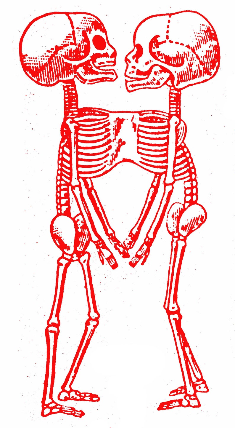 Conjoined Twins Skeleton Rubber Stamp - Etsy