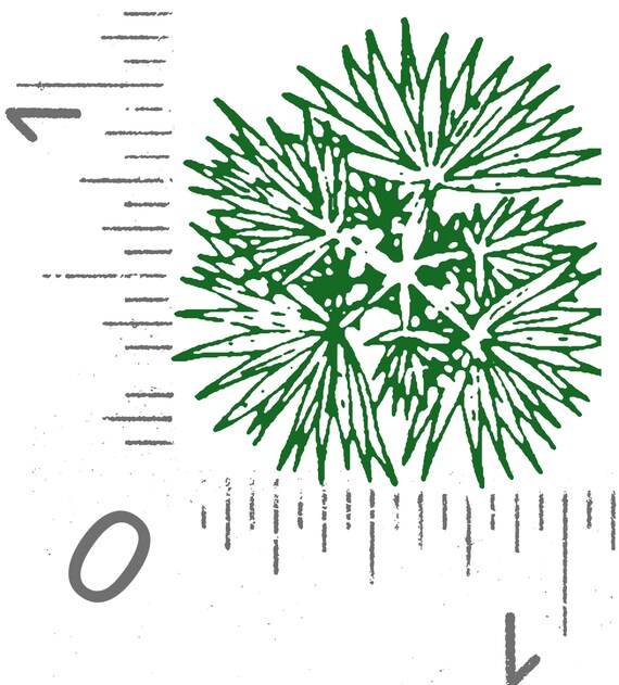 Tree Top Pattern 2 Rubber Stamp - Etsy