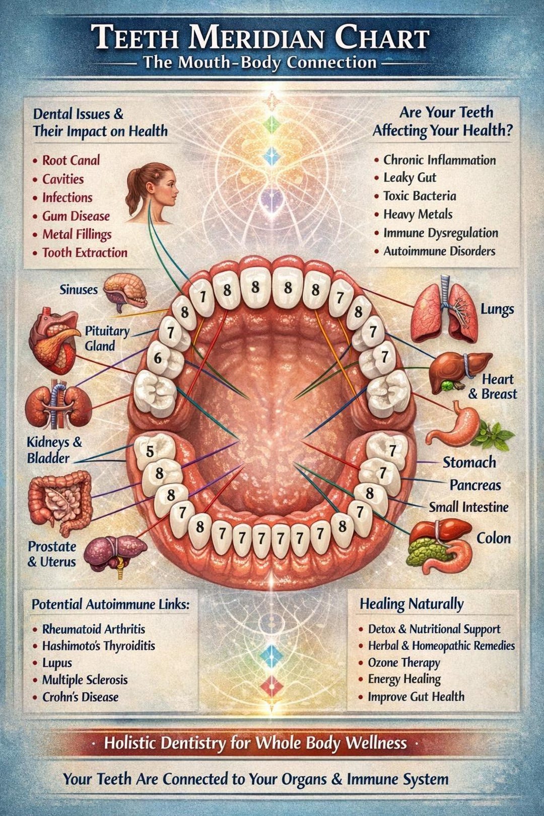 Meridian Chart: Holistic Dentistry & Body Systems - Etsy