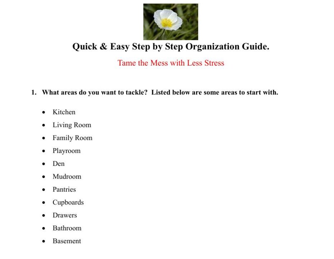 Step by Step Organization Guide - Etsy
