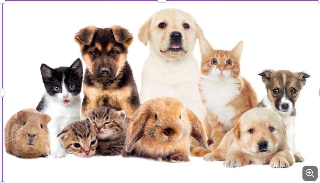 ESA Accommodation Request Form | Emotional Support Animal Housing ...