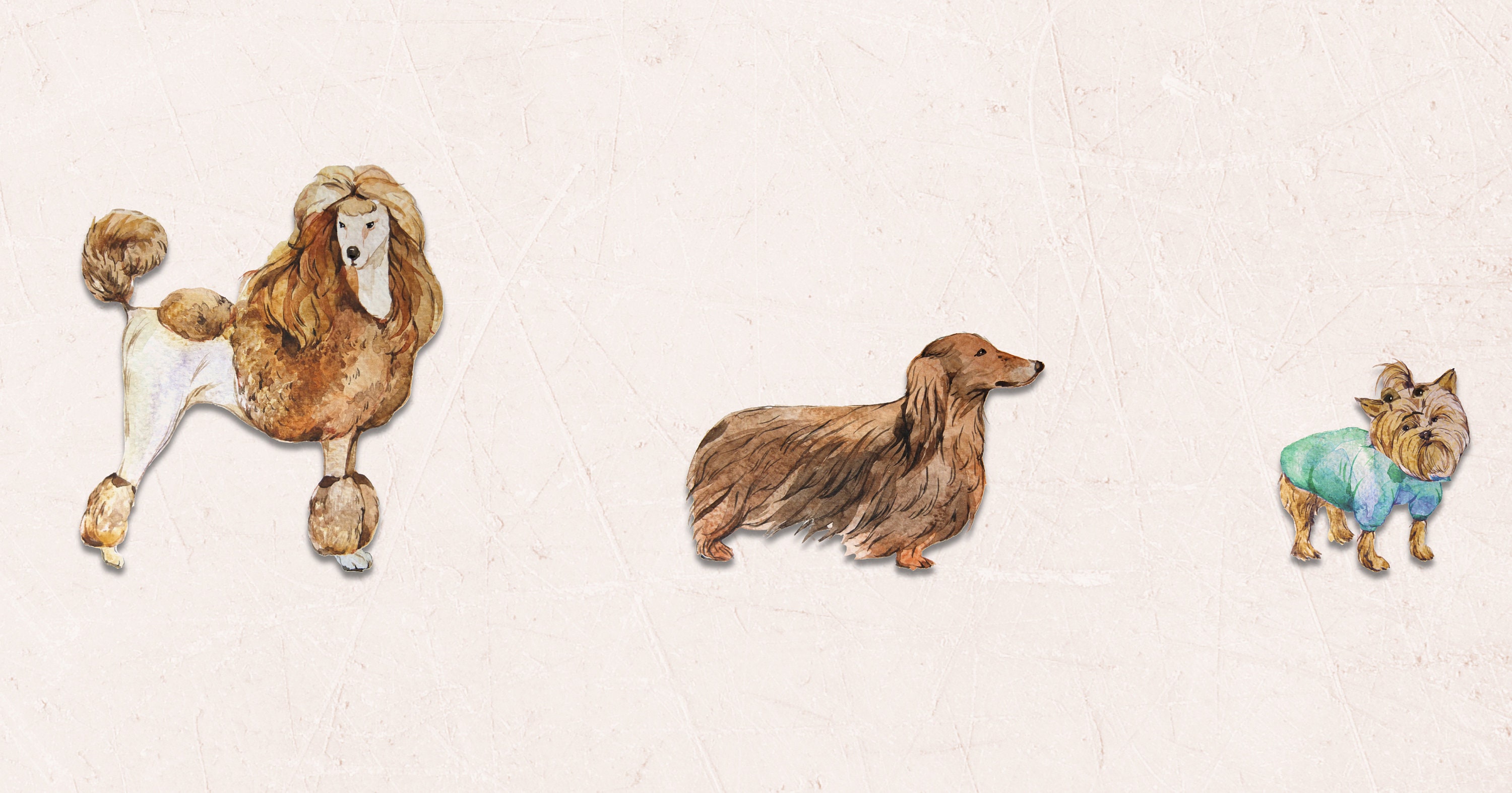 Evolution of Dog Print - Etsy