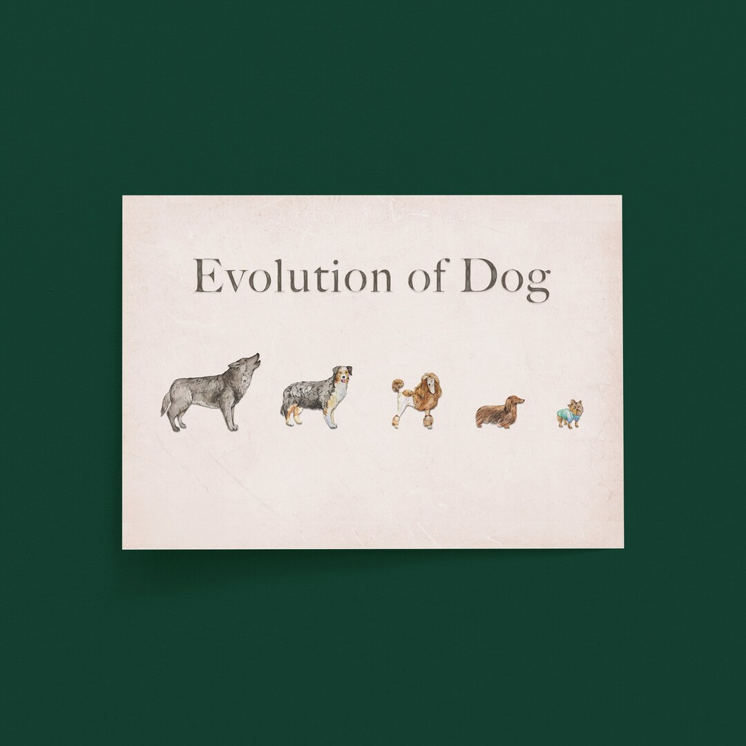 Evolution of Dog Print - Etsy