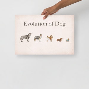 Evolution of Dog Print - Etsy