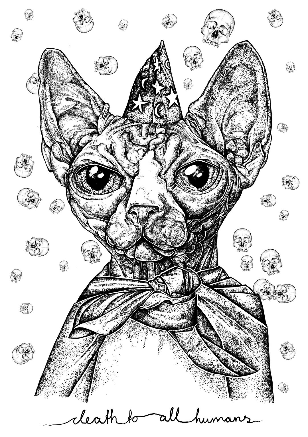 Sphinx Naked Cat Art Print Illustration Wizard Cat Animal Art Funny ...