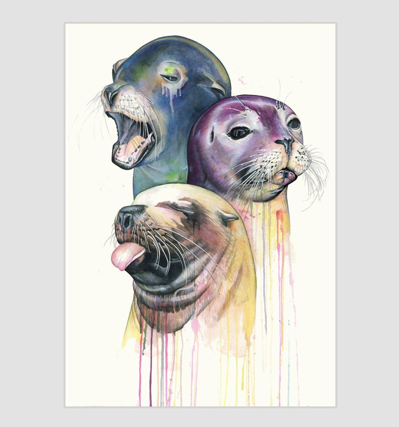 SEALS Limited Edition Print A2 Print Watercolour Painting - Etsy