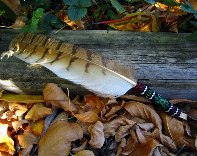 Beaded Turtle Smudge Feather - Owl Like - Hand Painted Feather - Gourd ...