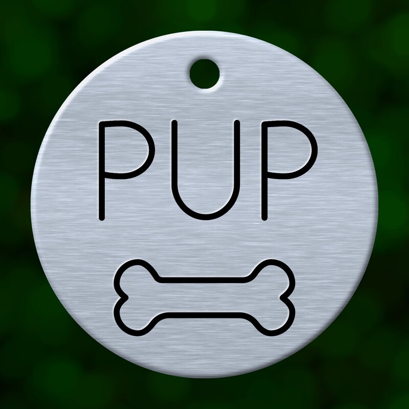 Goth Dog Gear - Etsy