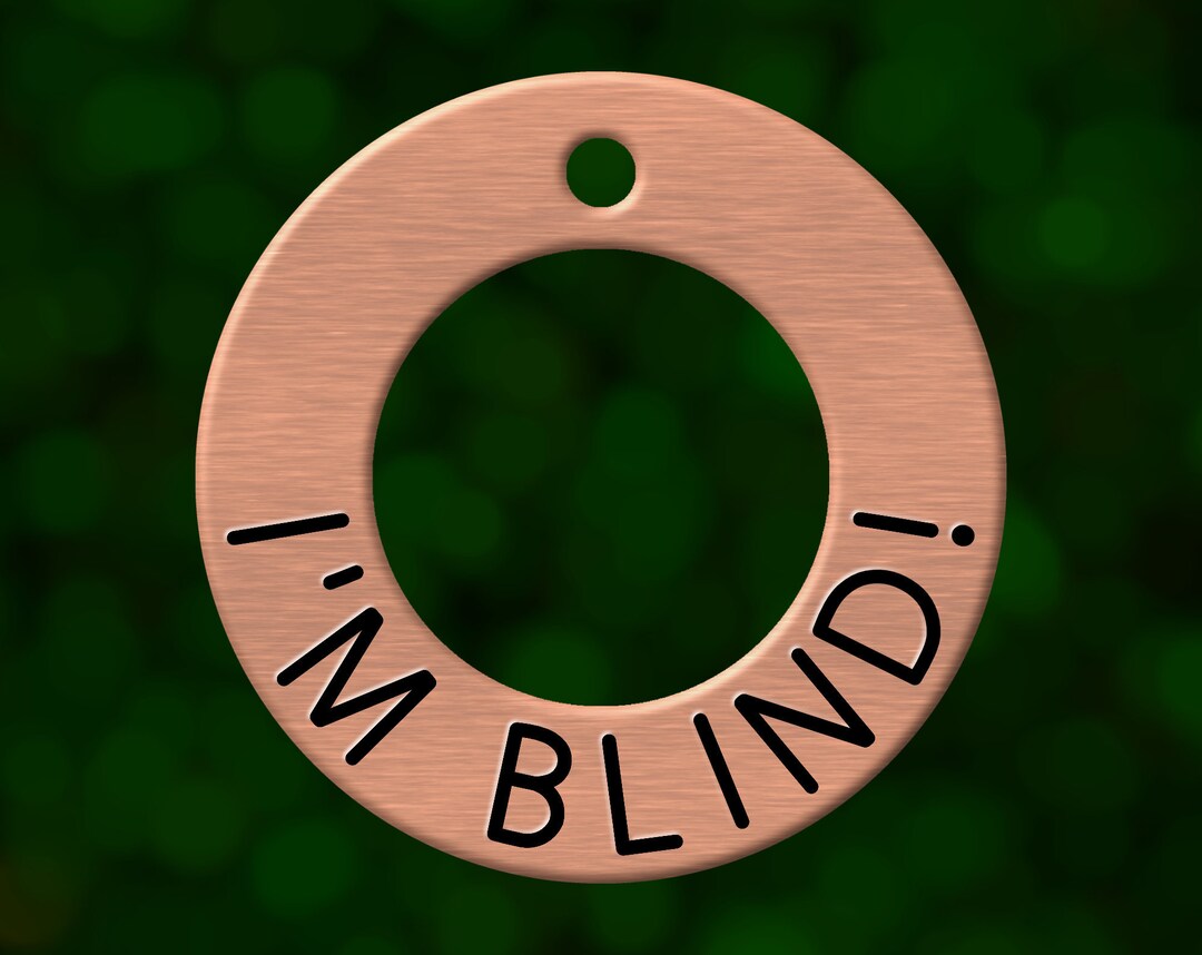 CLEARANCE Custom Pet Tag Washer I'M BLIND - Etsy