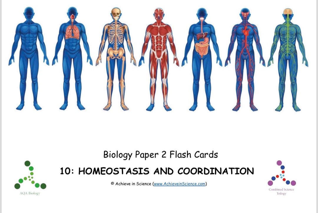 GCSE Revision Flash Cards - AQA Biology B2.10 Homeostasis - Etsy