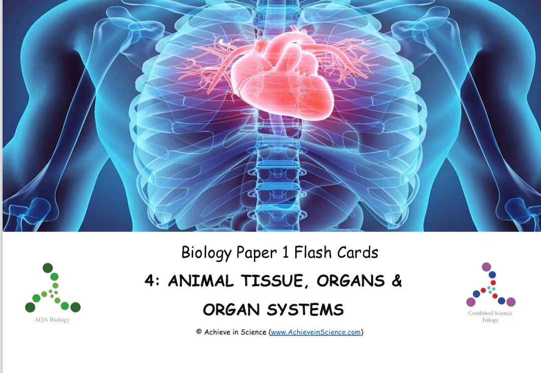 GCSE Revision Flash Cards - AQA Biology B1.4 Animal Tissue - Etsy