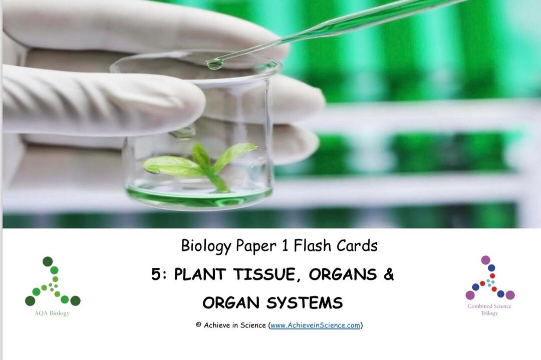 GCSE Revision Flash Cards - AQA Biology B1.5 Plant Tissues - Etsy