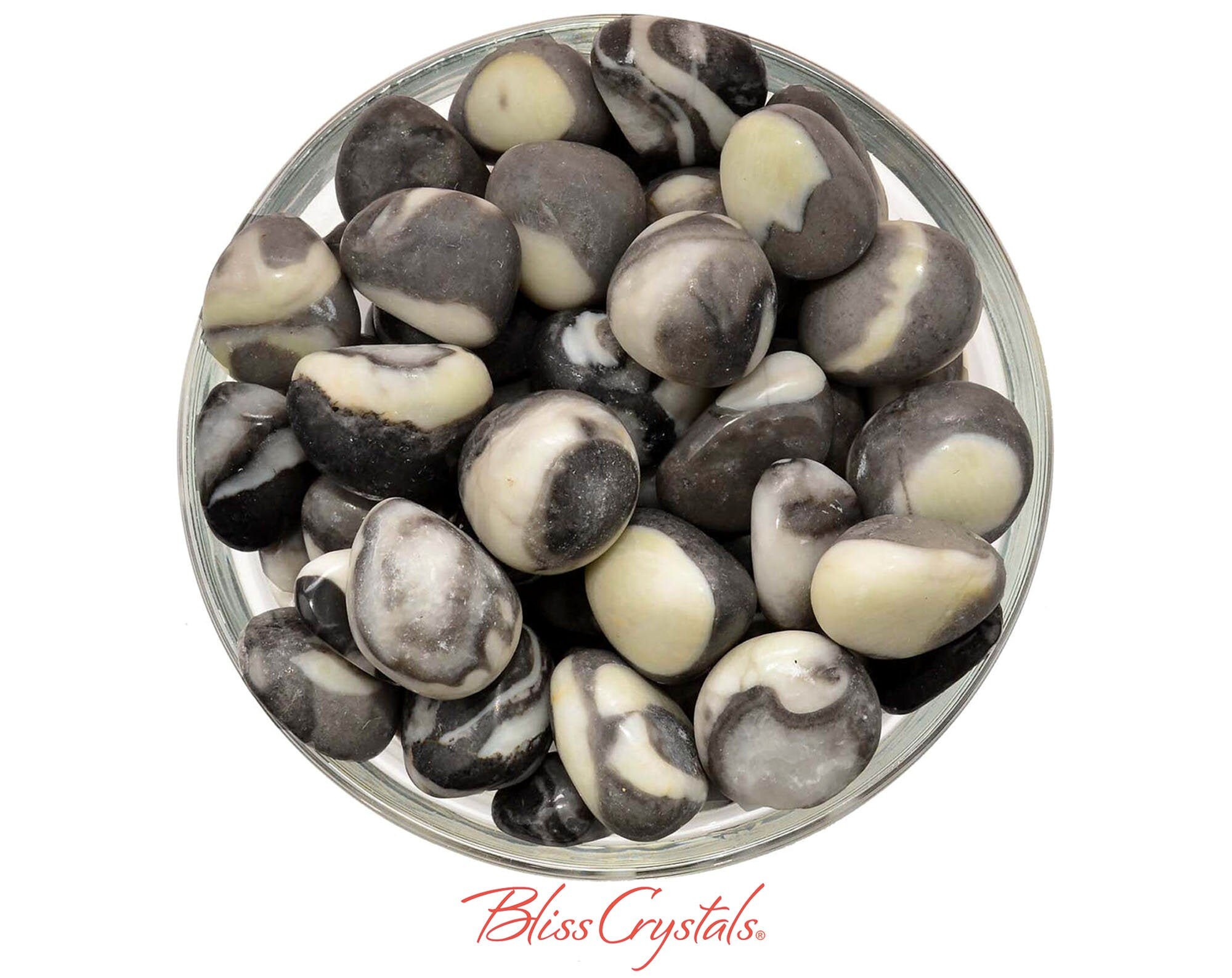 Fossilized SHELL JASPER Tumbled Stones Healing Crystal and | Etsy