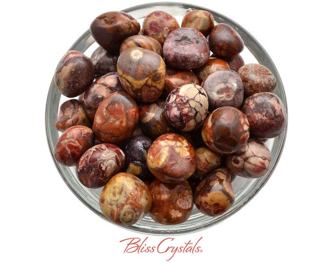 2 Bird's Eye Rhyolite Jasper Tumbled Stone Crystal for - Etsy