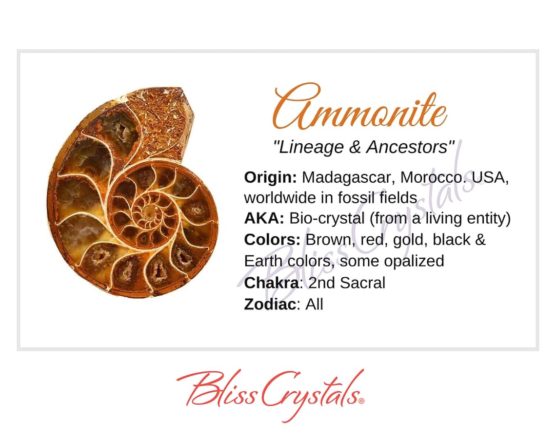 AMMONITE Crystal Information Card Double Sided HC48 | Etsy