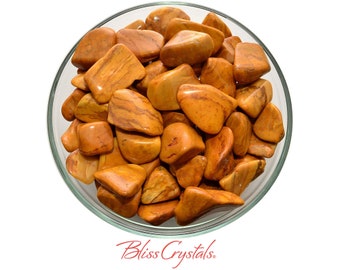 Fossilized SHELL JASPER Tumbled Stones Healing Crystal and | Etsy