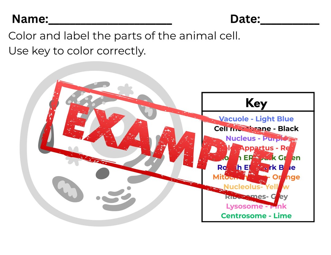 Color and Label Parts of the Cell Worksheet Template - Etsy