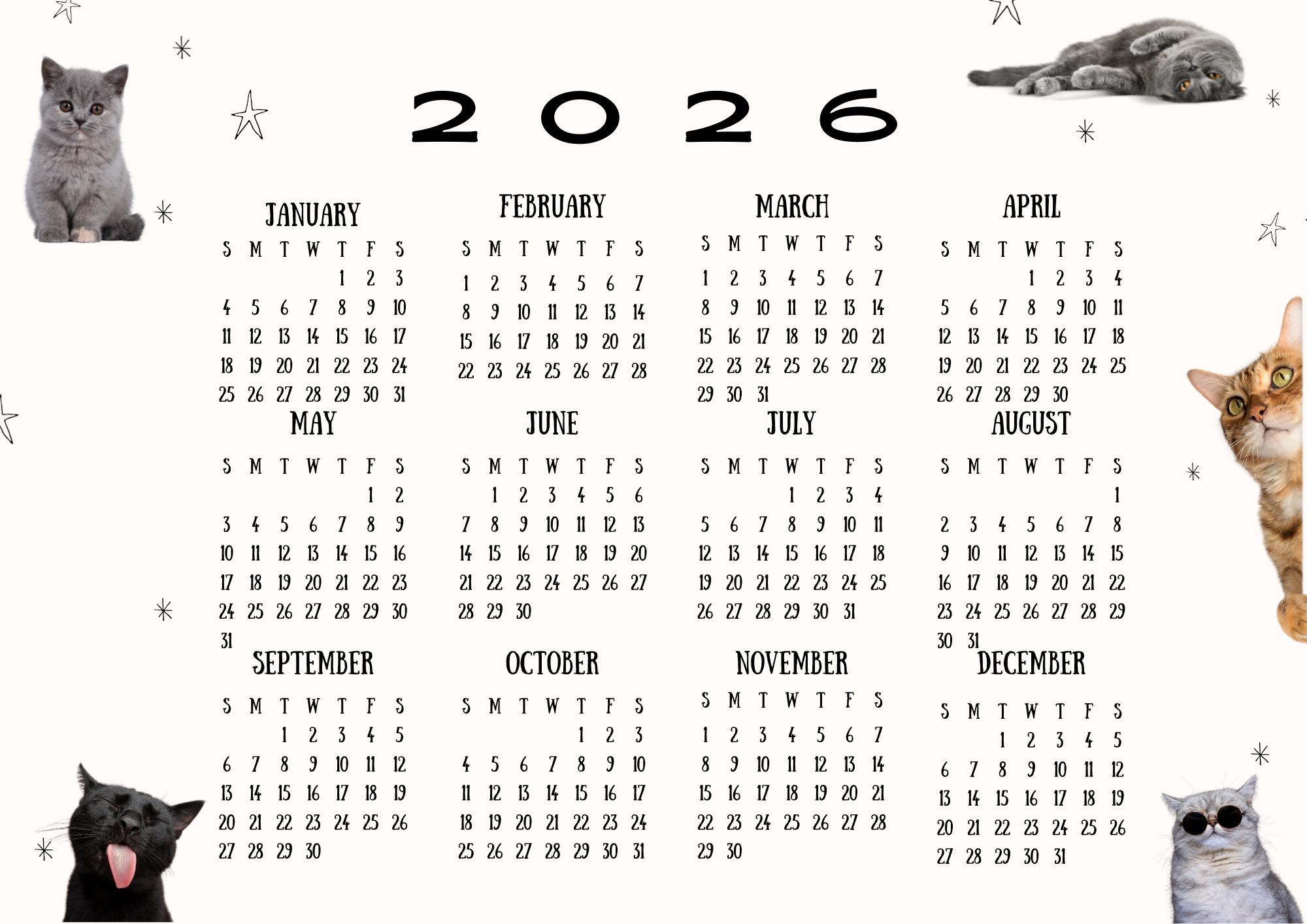 2026 Cat Calendar Printable | Cute Monthly Planner | Funny Wall ...