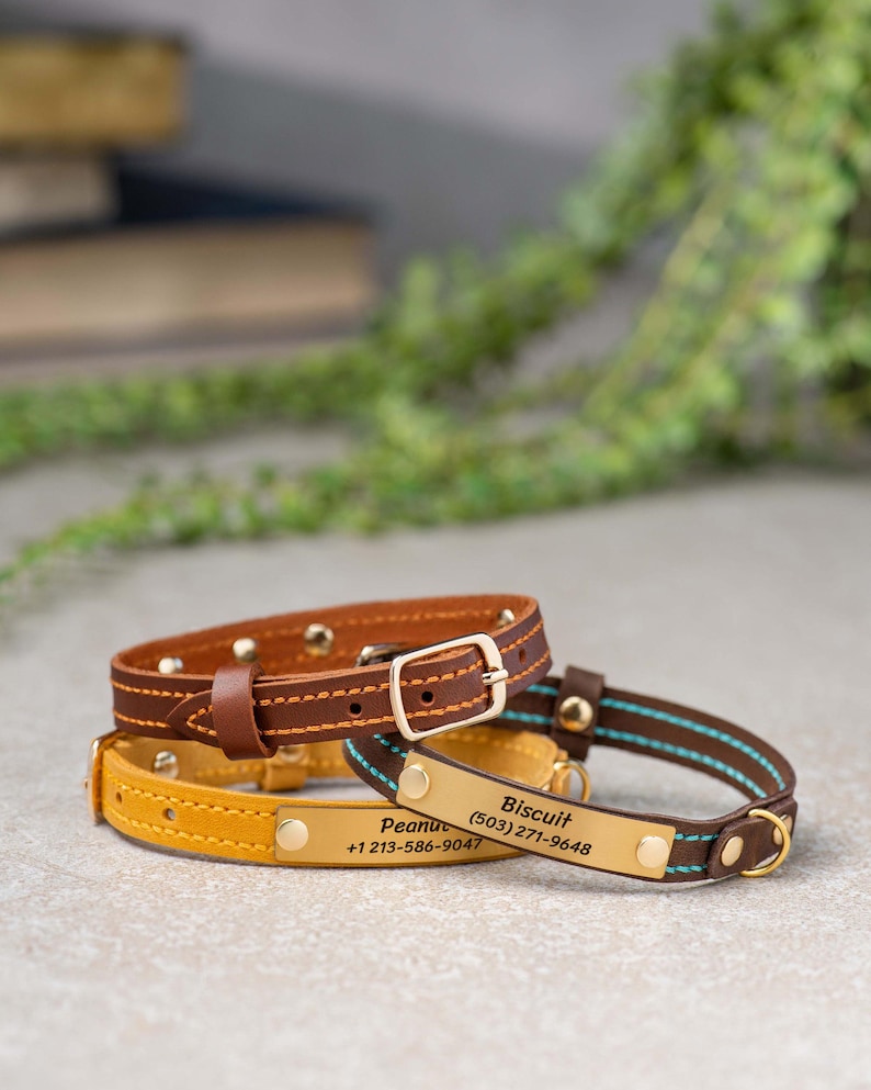 Personalized Leather Cat Collar | Custom Engraved Name Plate, Powder ...