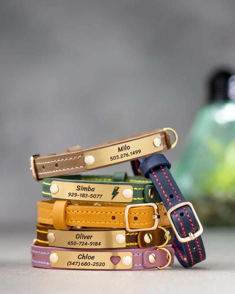Personalized Leather Cat Collar | Custom Engraved Name Plate, Powder ...