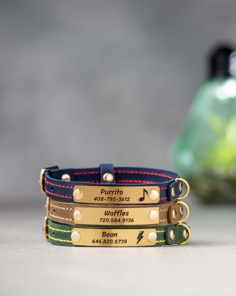 Personalized Leather Cat Collar | Custom Engraved Name Plate, Powder ...