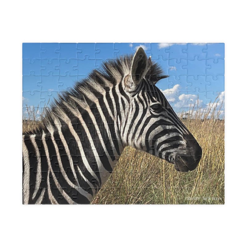 Zebra Puzzles for Adults - Etsy