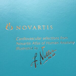 Vintage Cardiovascular Anatomy Diovan F. Netter MD- Netter's Atlas of ...