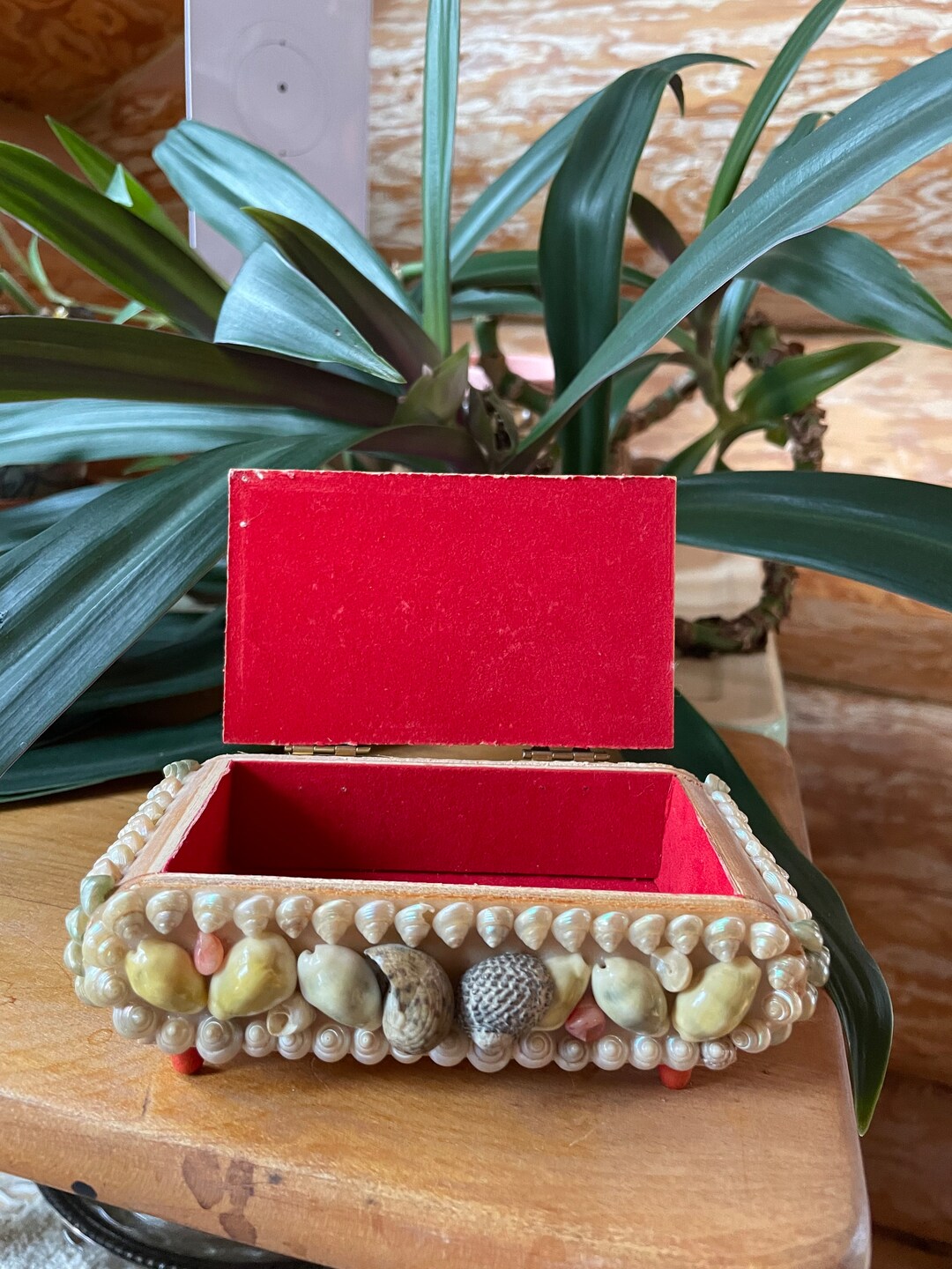 Vintage Sea Shell Art Jewelry Box - Etsy