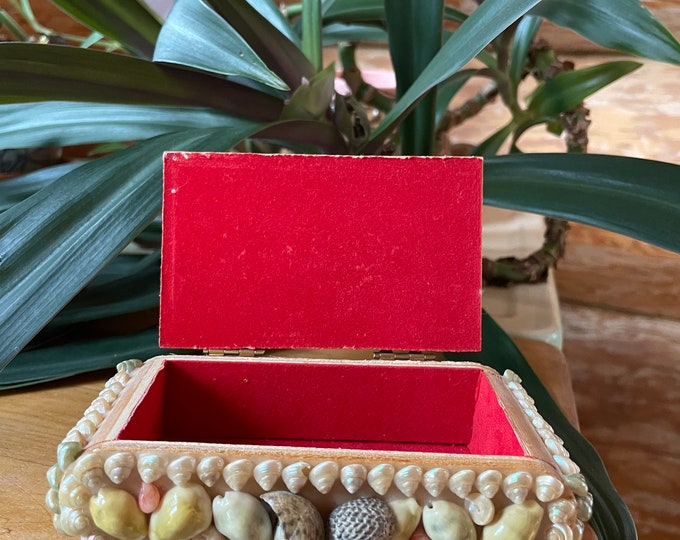 Vintage Sea Shell Art Jewelry Box - Etsy