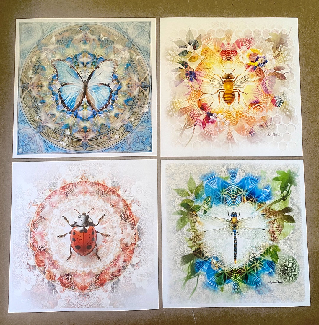 Insect Mandala Prints Set of 4 - Botanical Ladybug Honeybee Dragonfly ...