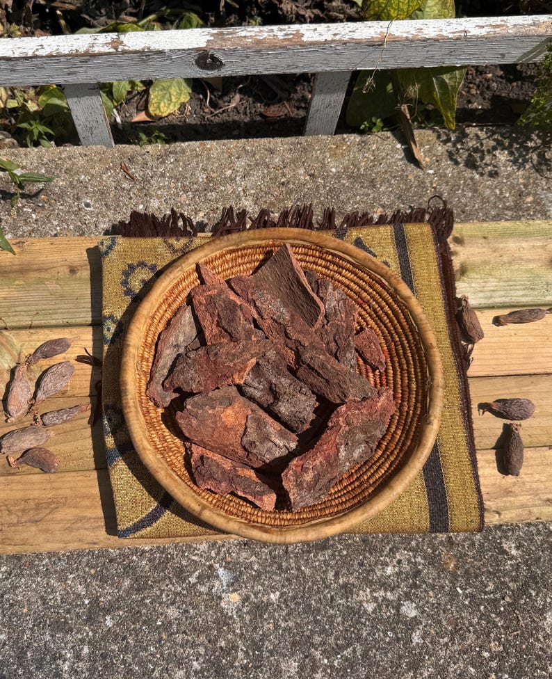 Epo Obo Tree Bark: Organic Ficus Platyphylla, Anti-witchcraft Bark for ...