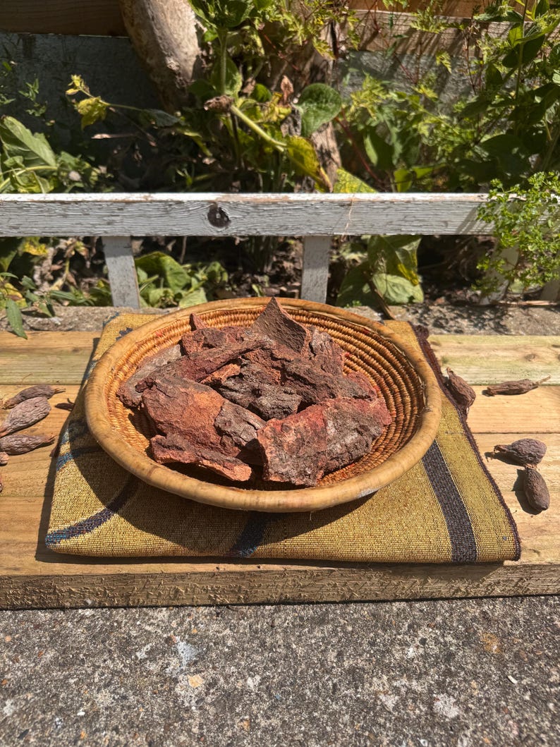 Epo Obo Tree Bark: Organic Ficus Platyphylla, Anti-witchcraft Bark for ...